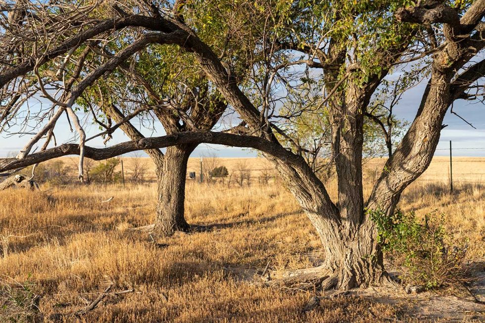 Mountain View Ranches | Offering the most desirable Colorado property ...