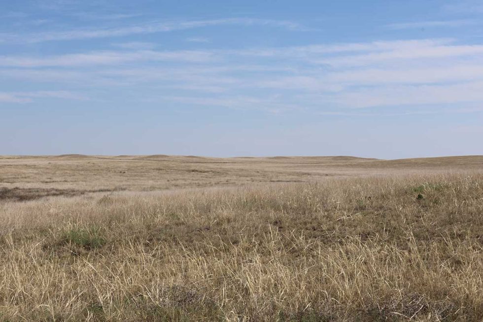 Mountain View Ranches | Offering the most desirable Colorado property ...